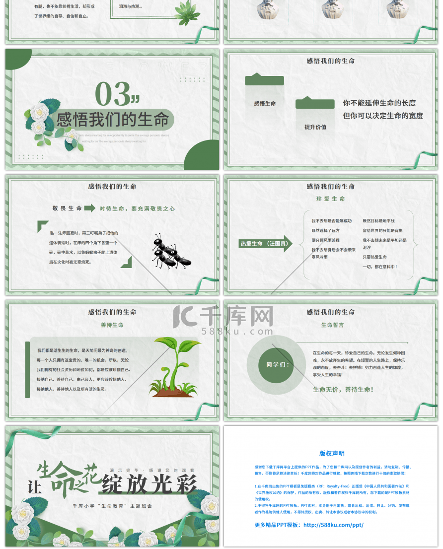 植物花朵浅绿色简约让生命之花绽放光彩PPppt模板免费下载 PPT模板 千库网