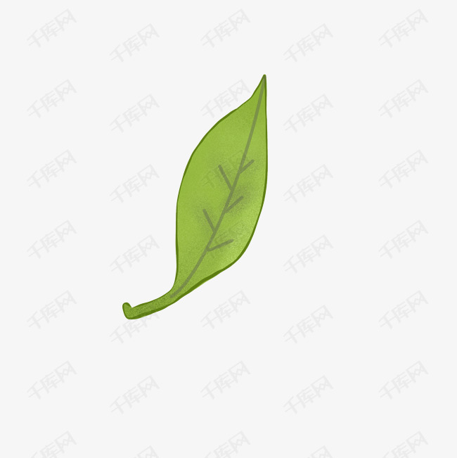 绿茶茶叶手绘插画素材图片免费下载 千库网