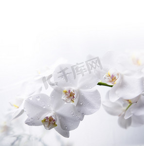 烟花的框框摄影图片 烟花的框框摄影作品 千库网