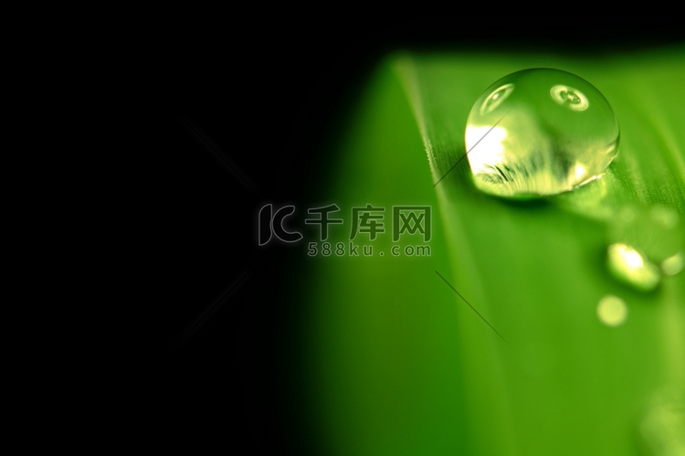 大水滴落在草叶上水珠水珠图高清摄影大图 千库网