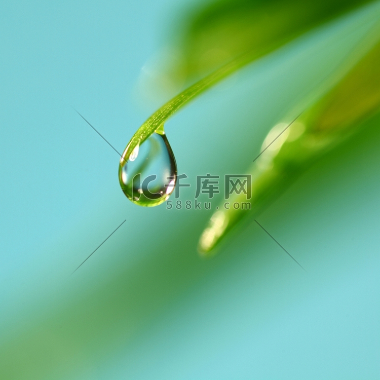 大水滴落在草叶上水珠图水珠高清摄影大图 千库网