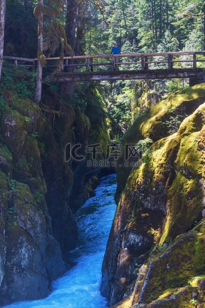 美国华盛顿州雷尼尔山国家公园的瀑布树山峦高清摄影大图 千库网