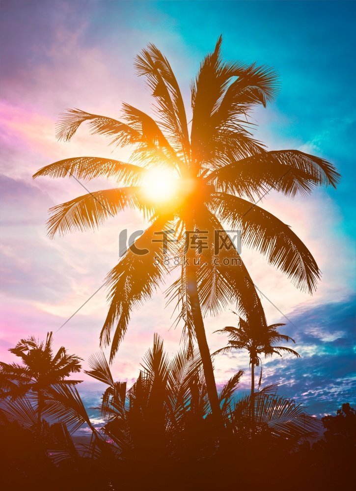 夕阳下的棕榈剪影高清摄影大图 千库网