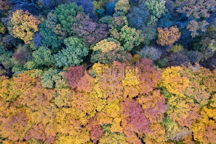 在温暖的秋季无人机鸟瞰针叶林和落叶混合林高清摄影大图 千库网