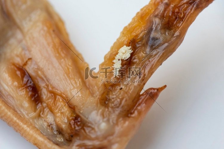 鸡蛋在食物上飞肮脏的食物不卫生苍蝇卵家蝇 家蝇传播细菌的概念高清摄影大图 千库网