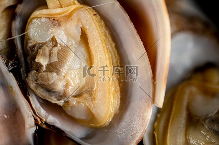 新鲜的蛤蜊高清摄影大图 千库网