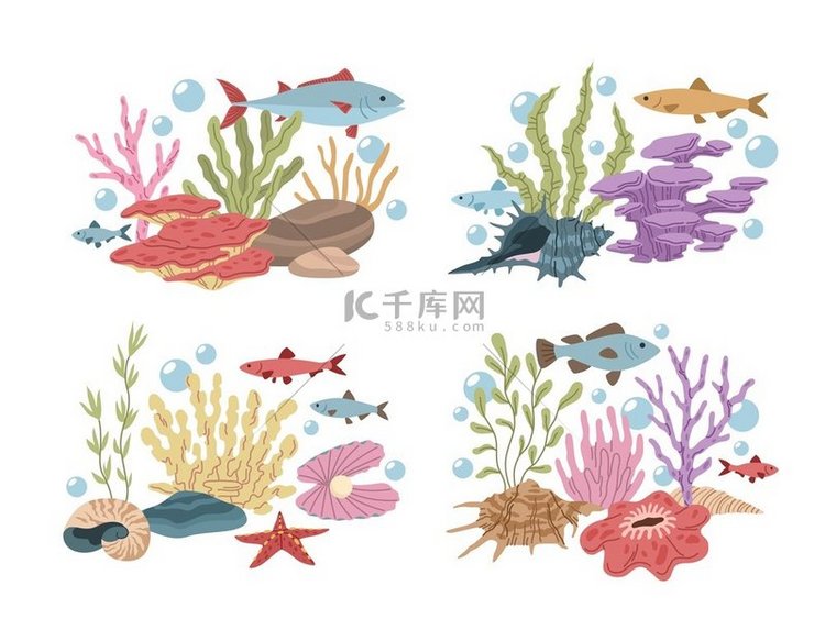 贝壳成分彩色海洋珊瑚藻类和贝壳水族馆装饰海星和鱼类水下生活创意装饰元素整洁的矢量手绘隔离在白色背景上贝壳成分彩色海洋珊瑚藻类和背景图片免费下载