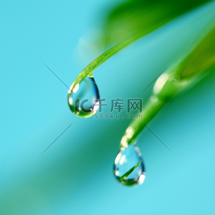 大水滴落在草叶上水珠图带水珠的树叶高清摄影大图 千库网