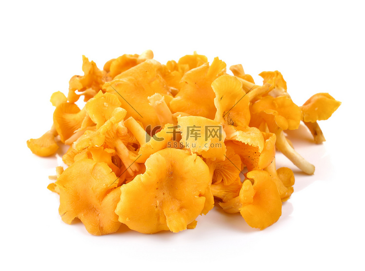 孤立在白色背景上的野生蘑菇高清摄影大图 千库网