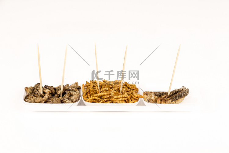 炸蟋蟀蝗虫高清摄影大图 千库网