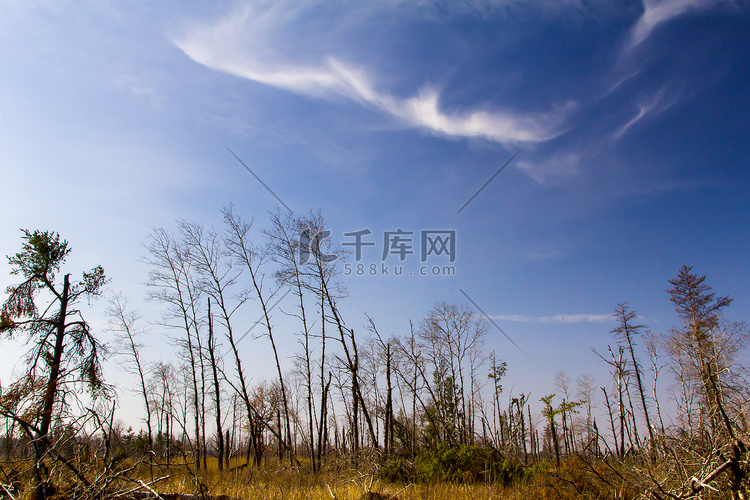 圣克罗伊州立公园风害高清摄影大图 千库网