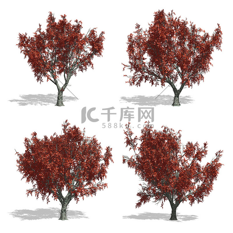 红橡树瀑布高清摄影大图 千库网