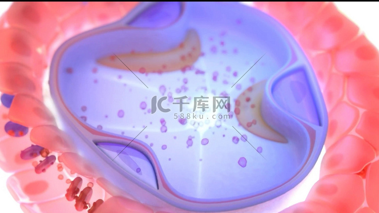 肺泡和呼吸系统的医学插图血液和氧气高清摄影大图 千库网