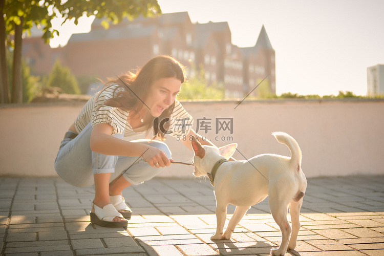 狗帕森拉塞尔梗品种正在绿色公园里和他的主人一起玩耍高清摄影大图 千库网