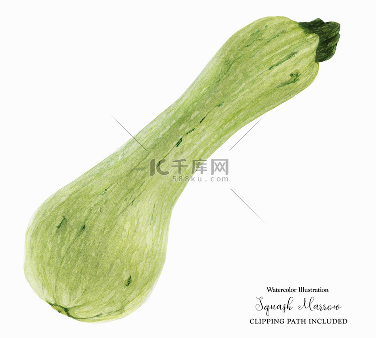 小南瓜骨髓果高清摄影大图 千库网