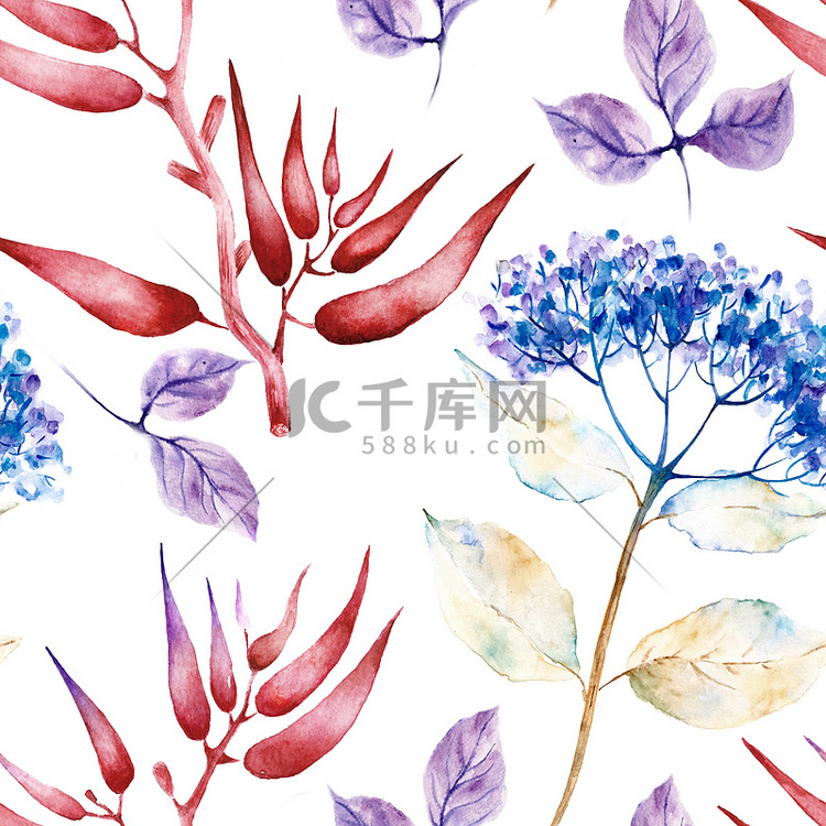 与干燥标本集花卉和植物的无缝模式水彩插图 高清摄影大图 千库网
