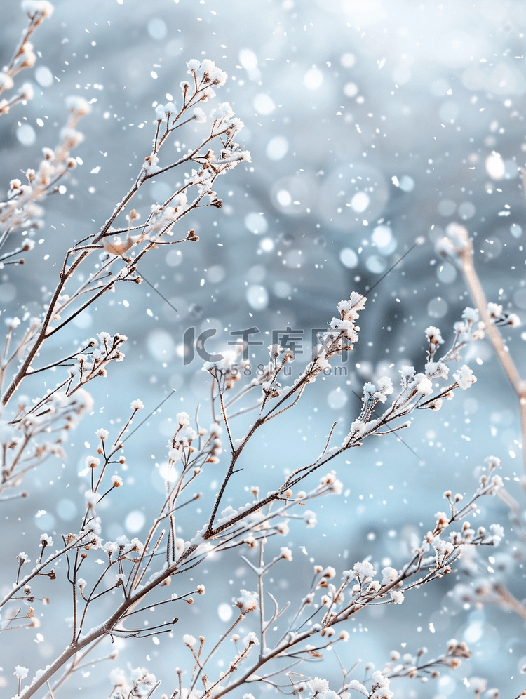 冬季背景与薄薄的积雪覆盖的树枝特写高清摄影大图 千库网