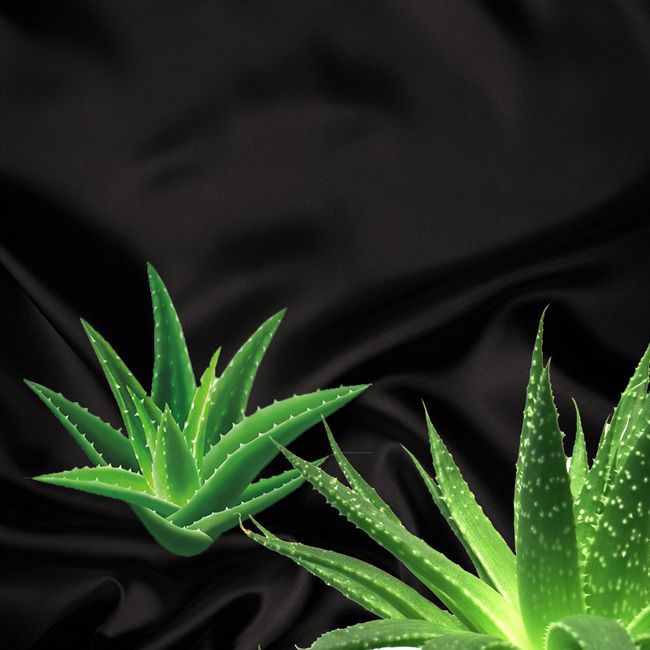 芦荟霜背景图片 芦荟霜背景素材图片 千库网