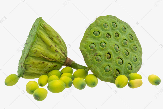 莲蓬莲子素材图片免费下载 千库网