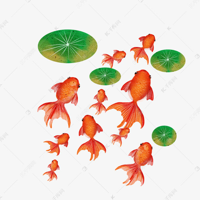 荷塘金鱼素材图片免费下载 千库网