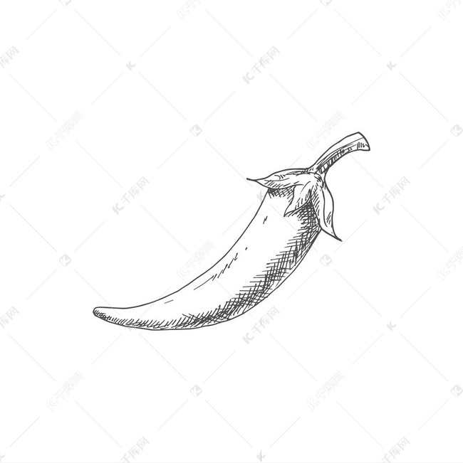 辣椒孤立的蔬菜素描素材图片免费下载 千库网