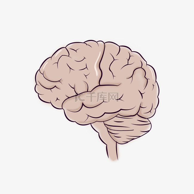 白色的大脑手绘插画素材图片免费下载 千库网