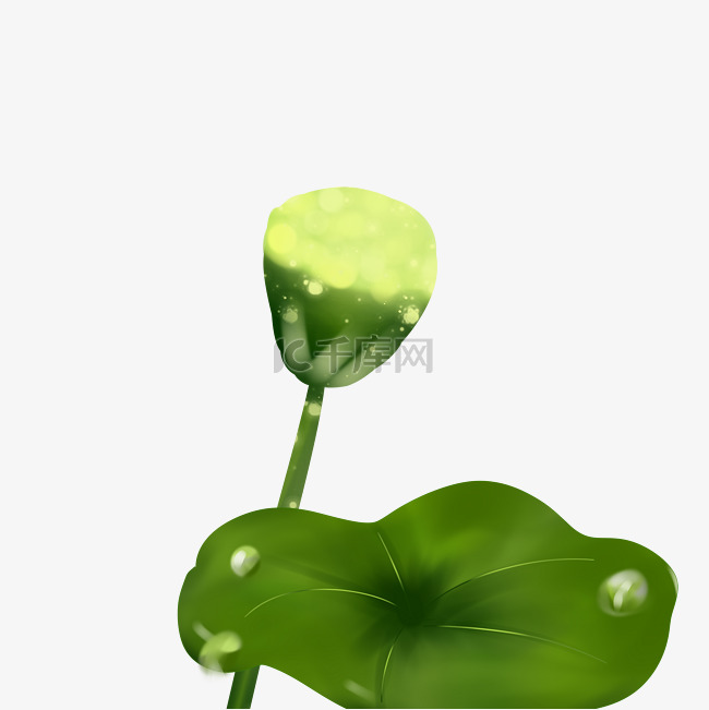 清明节荷叶素材图片免费下载 千库网
