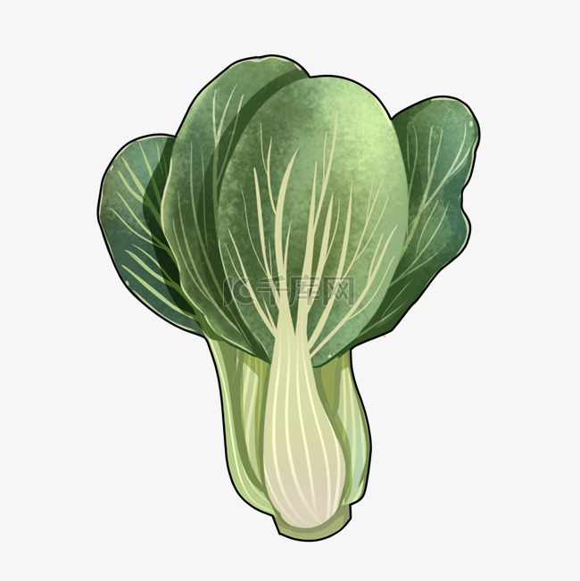 手绘油菜蔬菜插画素材图片免费下载 千库网