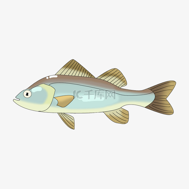 卡通海鲜海洋生物活鱼鱼鲈鱼素材图片免费下载 千库网