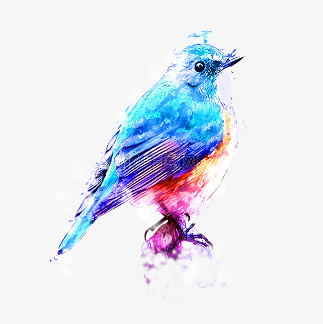 水彩鸟手绘插画素材图片免费下载 千库网