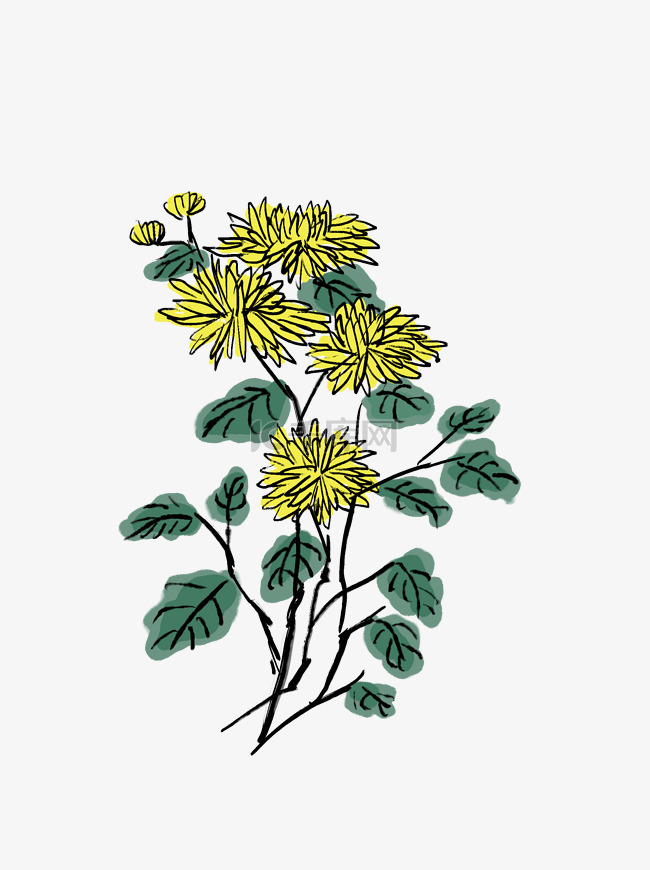 手绘花中国风写意水墨菊花插画元素素材图片免费下载 千库网