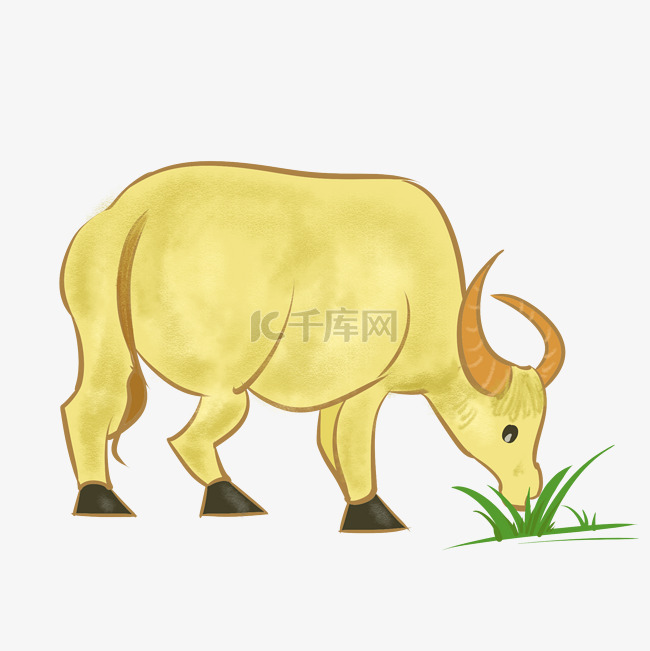 吃草动物黄牛素材图片免费下载 千库网