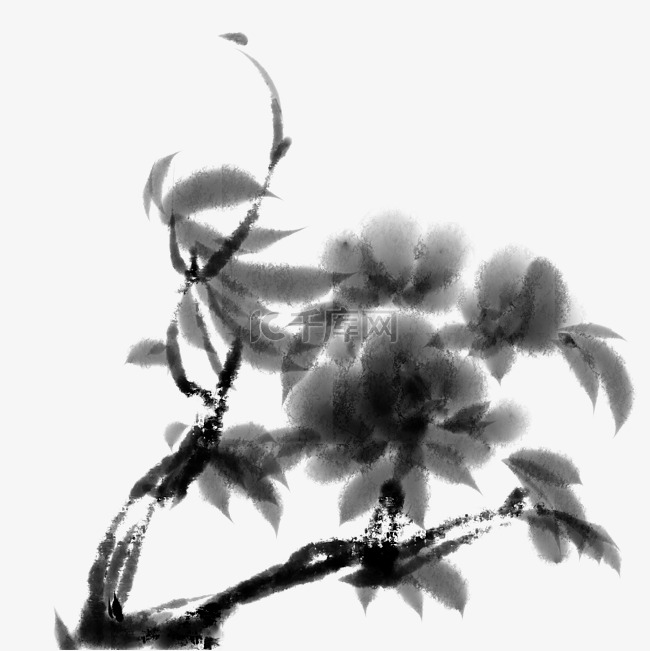 水墨牡丹花素材图片免费下载 千库网