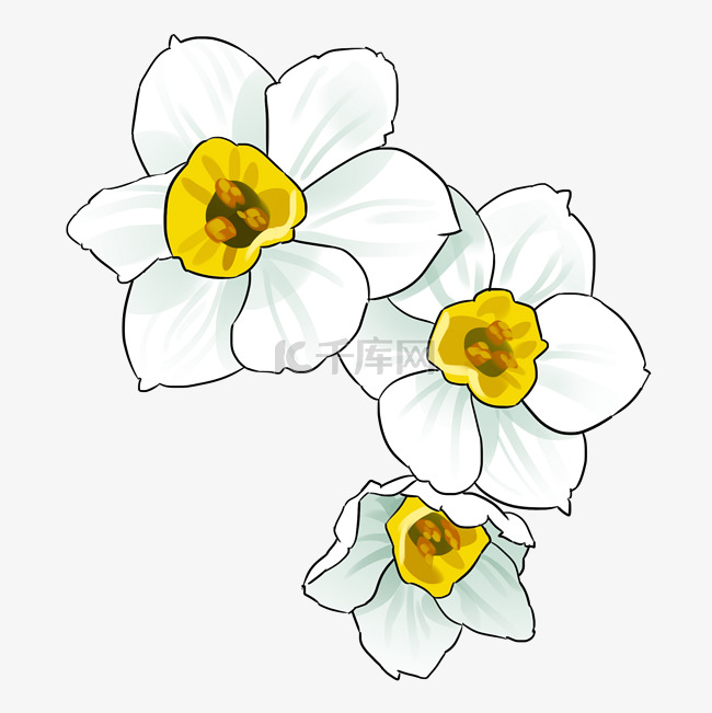 手绘清新水仙花花朵插画素材图片免费下载 千库网