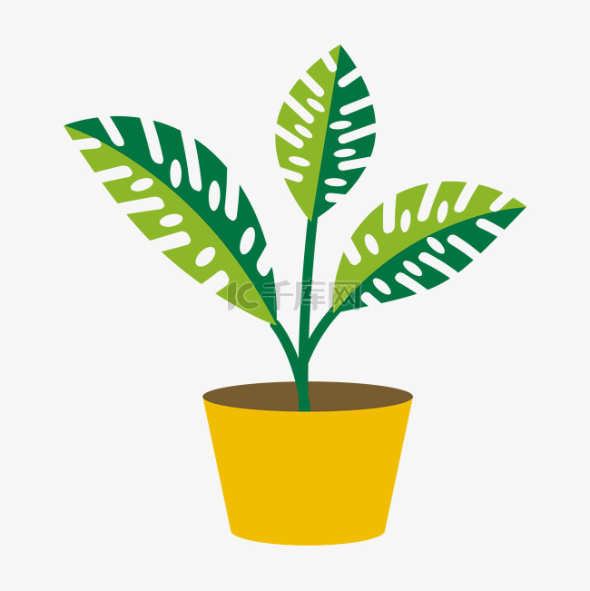 绿色盆栽植物 素材图片免费下载 千库网