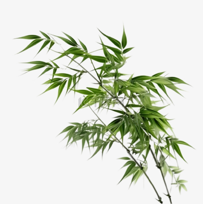 竹林竹子竹叶装饰元素素材图片免费下载 千库网