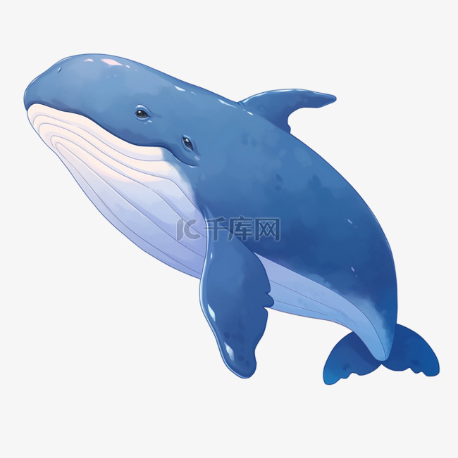 海洋生物鲸鱼手绘元素素材图片免费下载 千库网