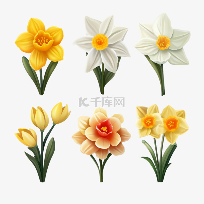 水仙写实花卉元素立体免扣图案素材图片免费下载 千库网