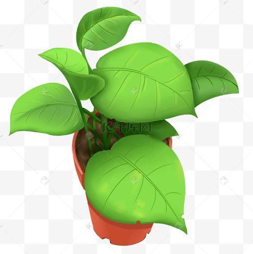 绿植俯视图片 绿植俯视图片素材免费下载 千库网