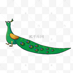孔雀可爱图片 孔雀可爱图片素材免费下载 千库网