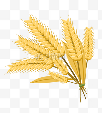 一把麦穗设计素材 一把麦穗模板设计 海报图片下载 千库网