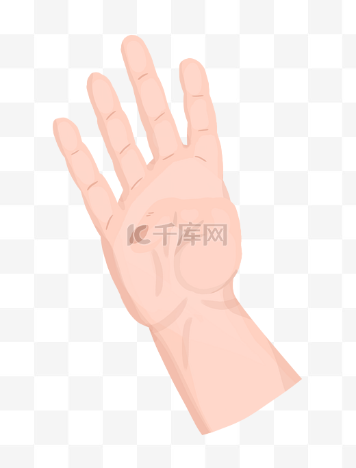 弯手臂图片 弯手臂图片素材免费下载 千库网