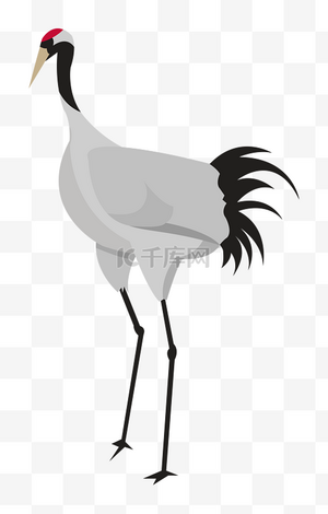 漂亮的白鹤手绘插画素材图片免费下载 千库网