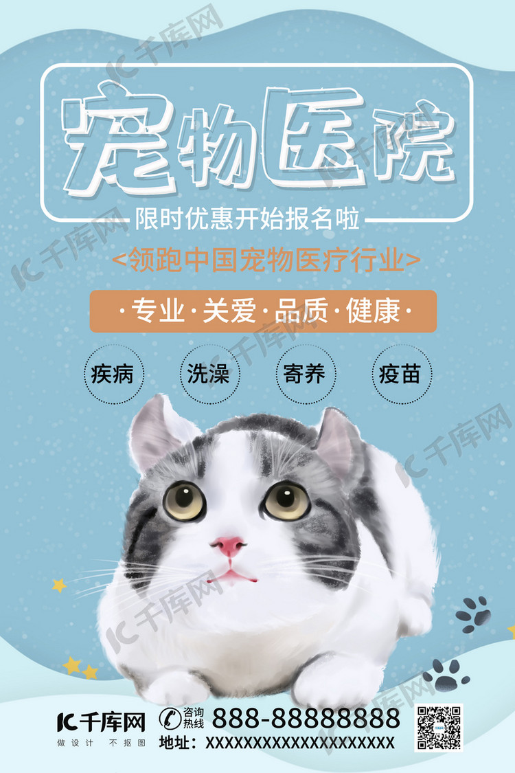 宠物医院宠物猫猫蓝色简约风海报海报模板下载 千库网