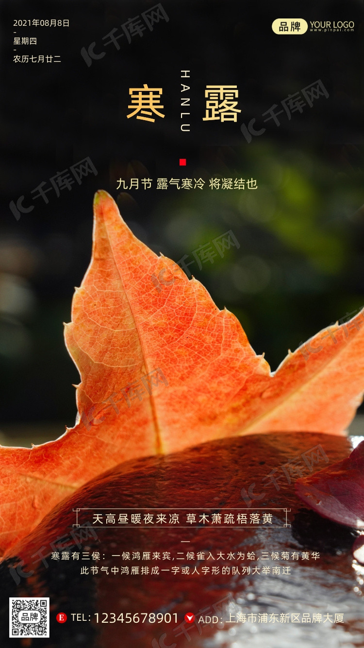 传统寒露节气落水枫叶简约摄影图海报海报模板下载 千库网