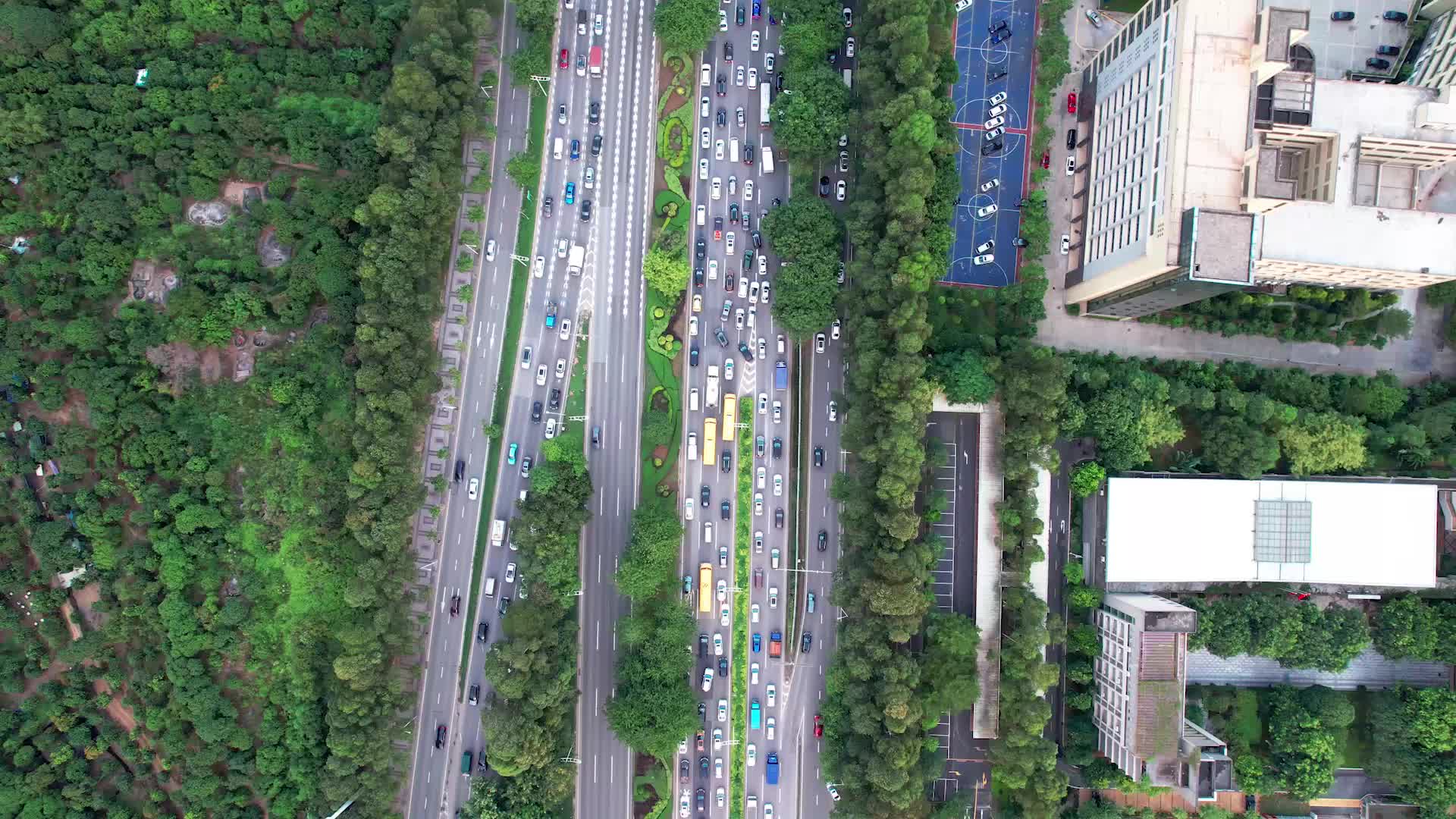 松林环路 视频特效素材 千库网