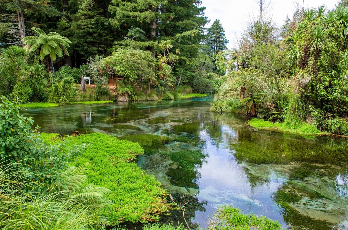 springs摄影图片-springs摄影作品-千库网