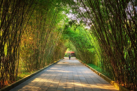 path摄影图片-path摄影作品-千库网