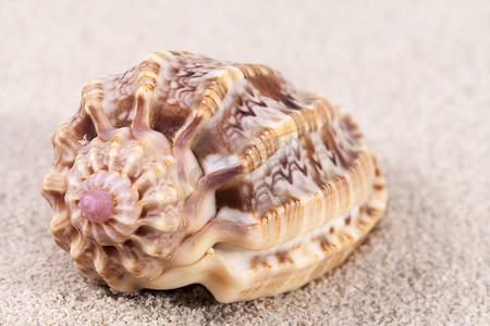 上海纪念品摄影图片-上海纪念品摄影作品-千库网