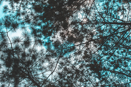 mugo摄影图片-mugo摄影作品-千库网